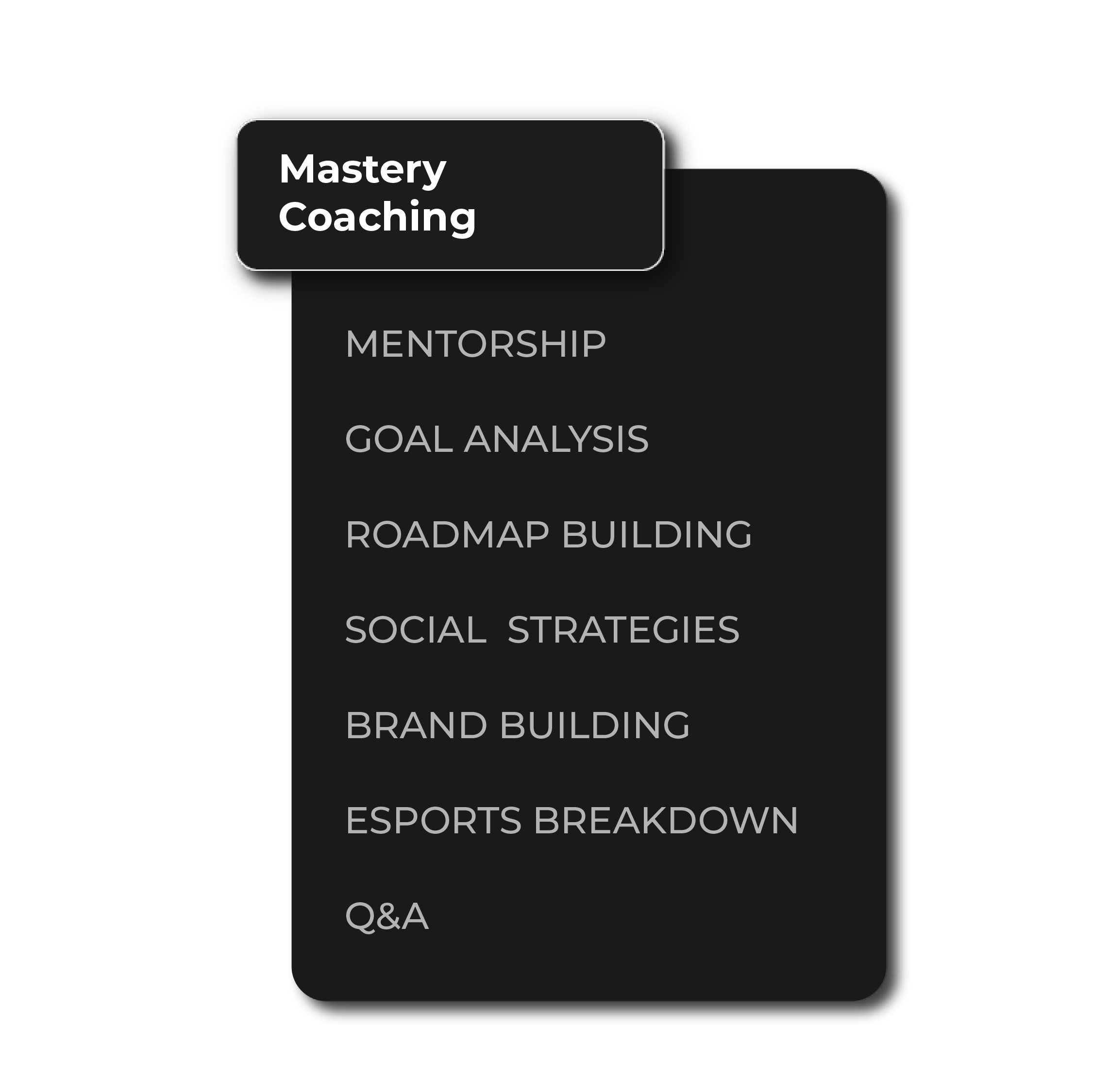 Mastery Coaching – Alyus Academy